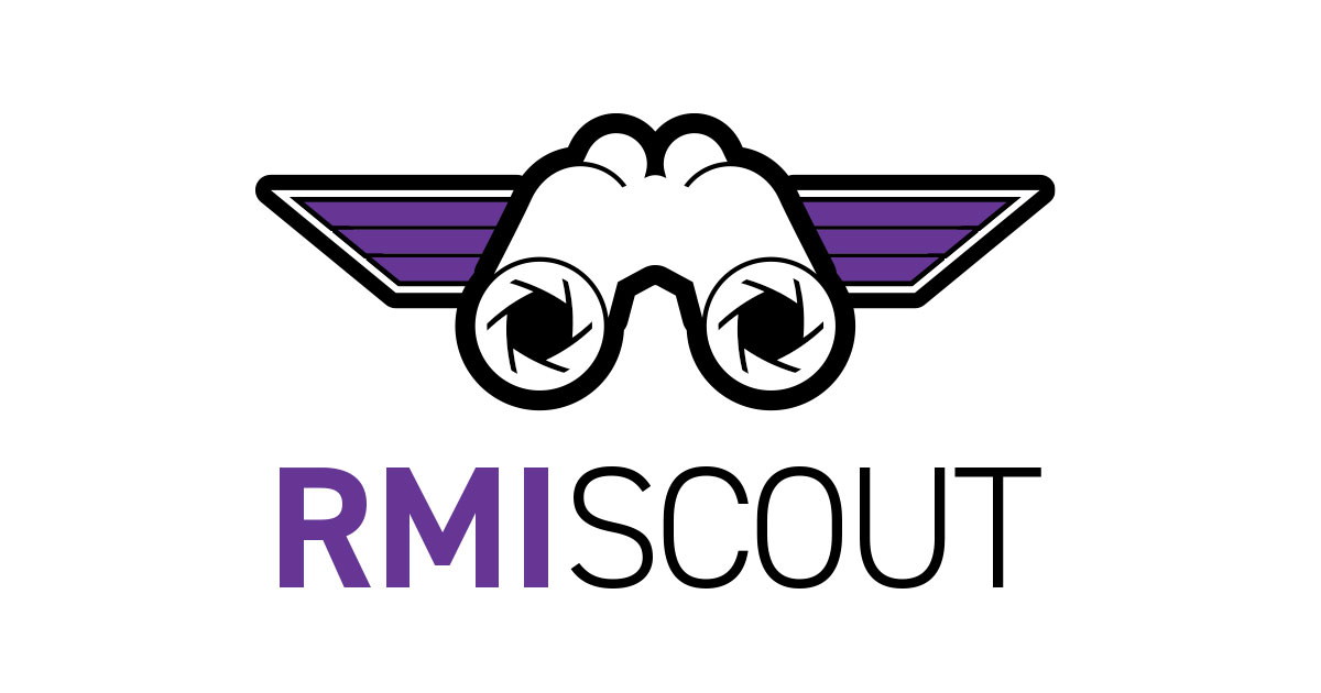 Java RMI: Understanding the Technology, Risks, and Best Practices ...